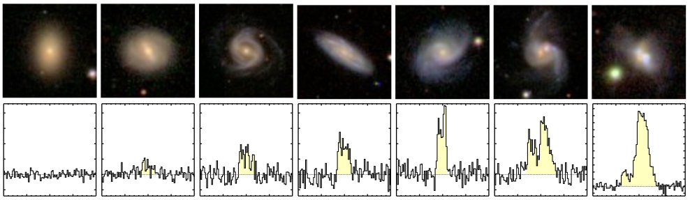LP008: A legacy survey to study cold gas scaling laws in the local ...