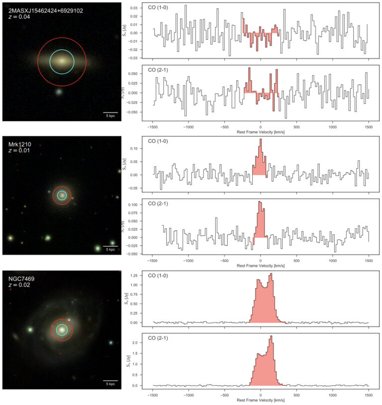 LP019: A legacy survey of molecular gas in powerful nearby AGN – IRAM